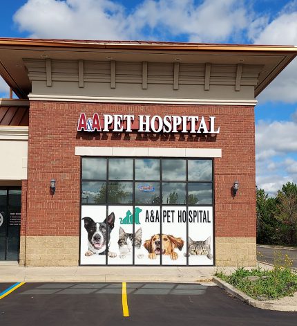 A & A Pet Hospital